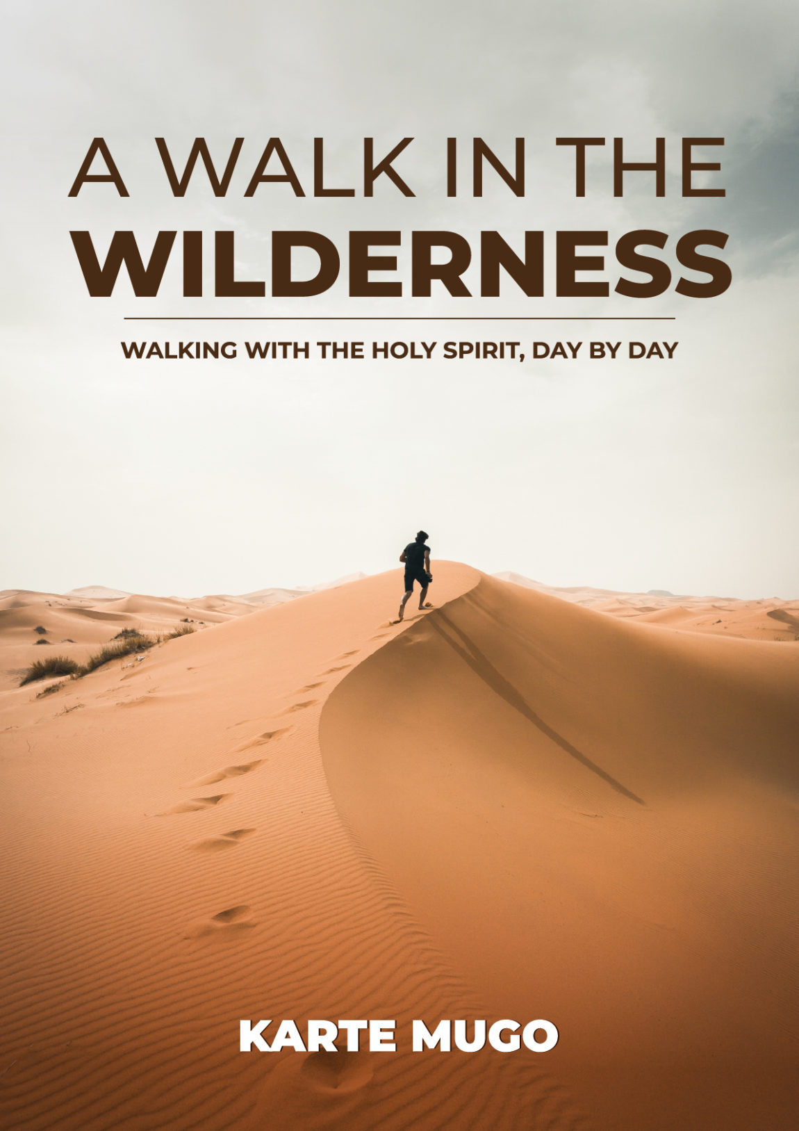 A Walk in the Wilderness - Books For My Soul