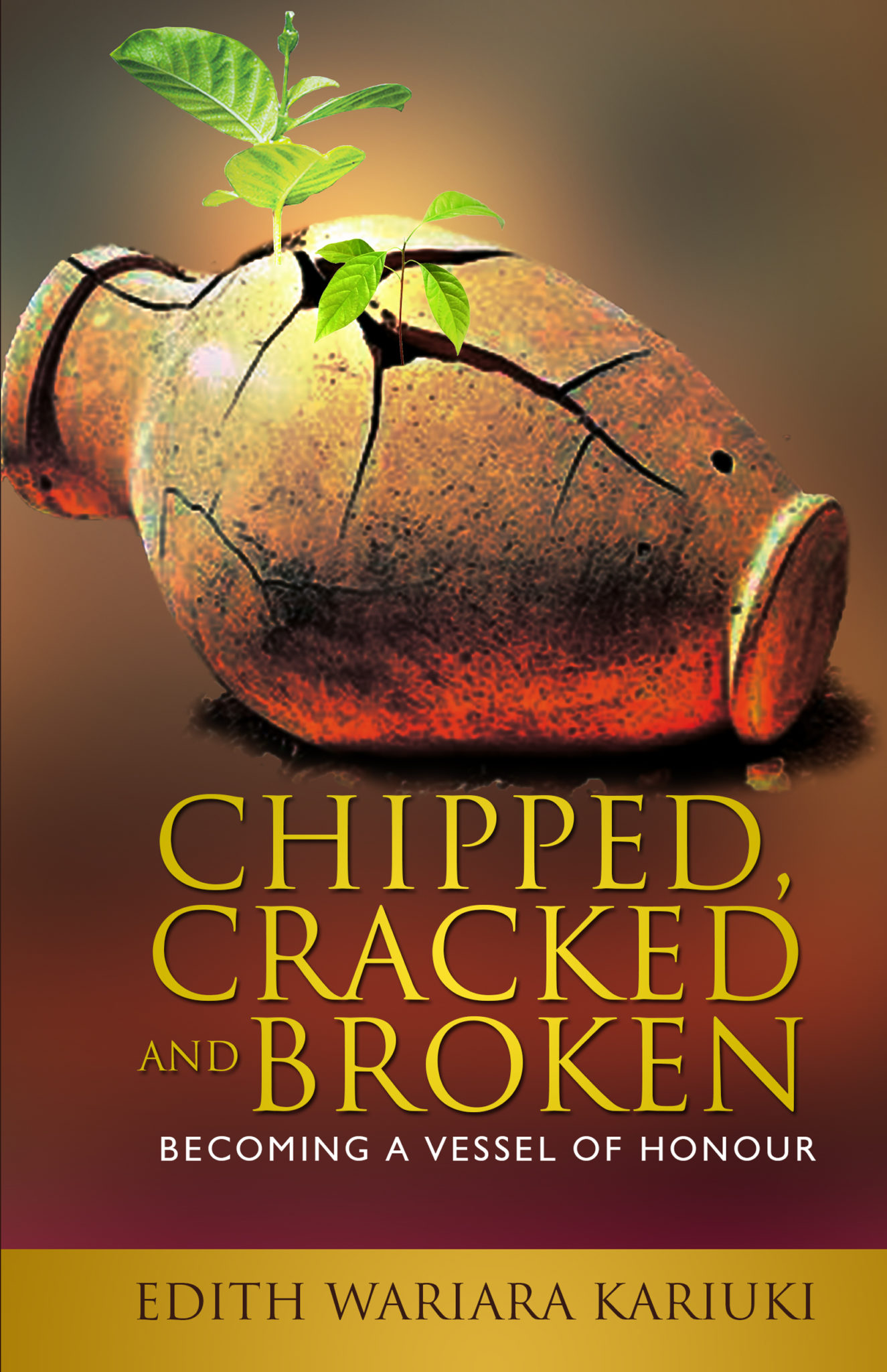 Chipped, Cracked and Broken - Books For My Soul